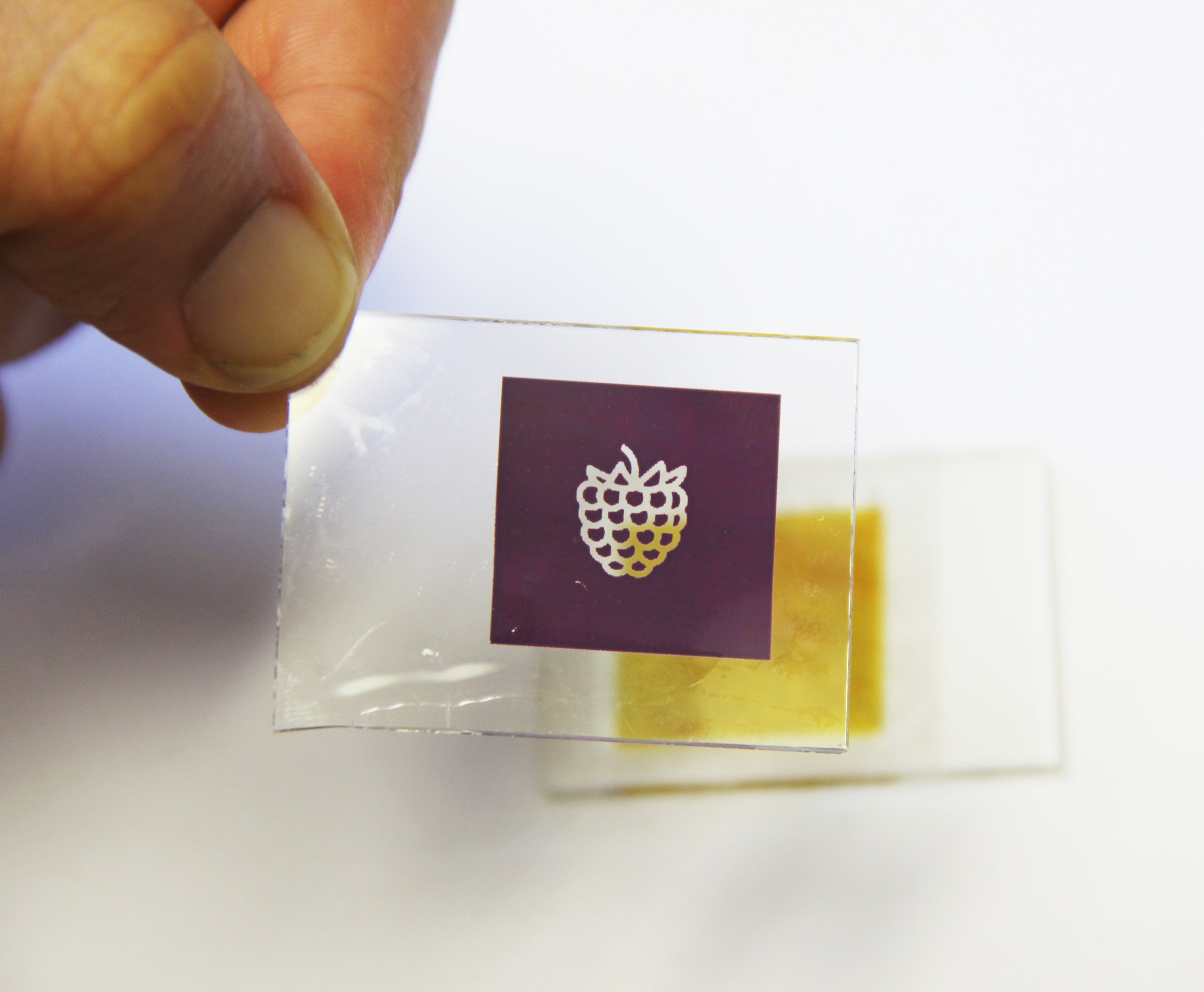 I made a Berry Cell — Berry Cells