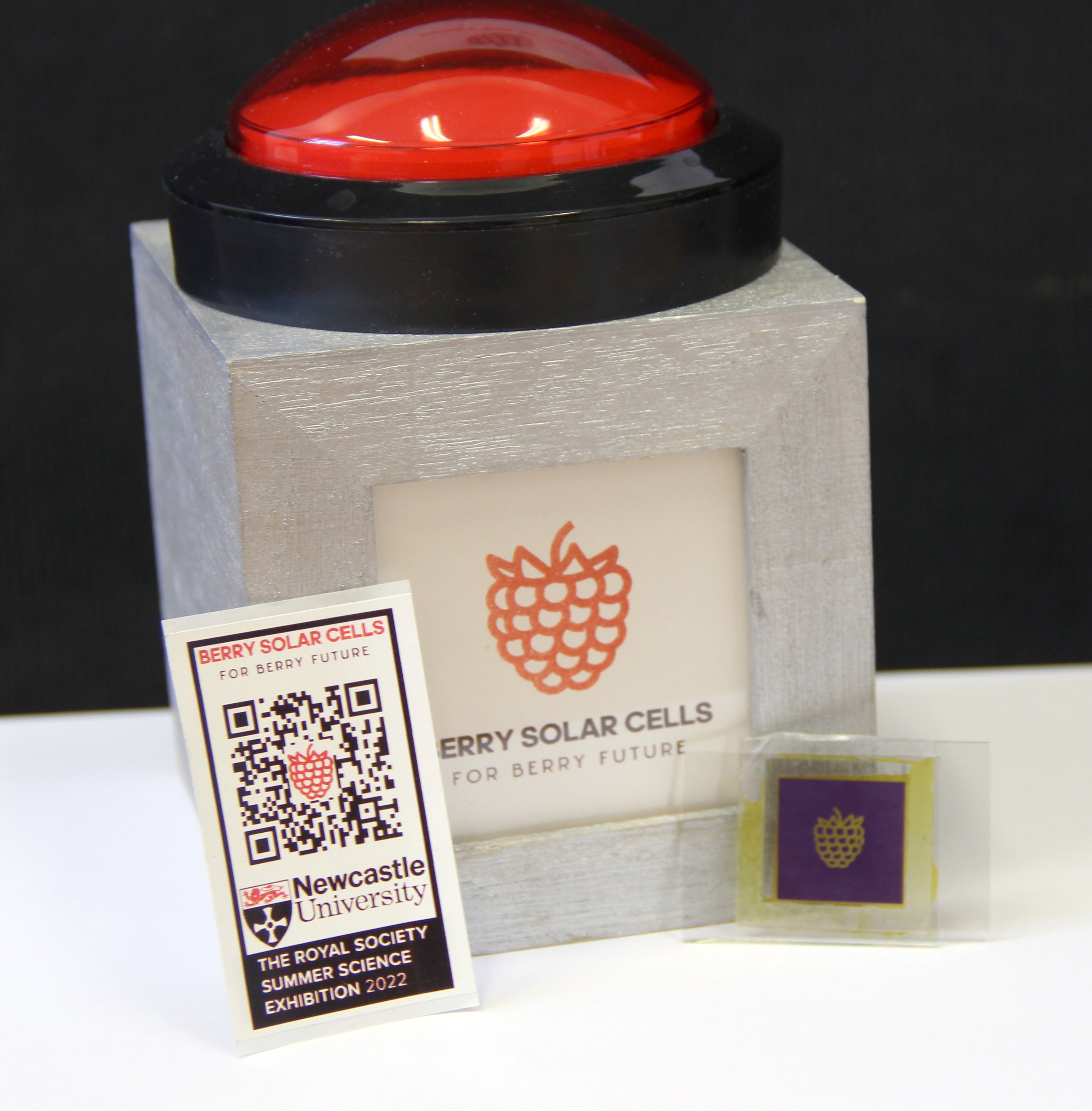 I made a Berry Cell — Berry Cells