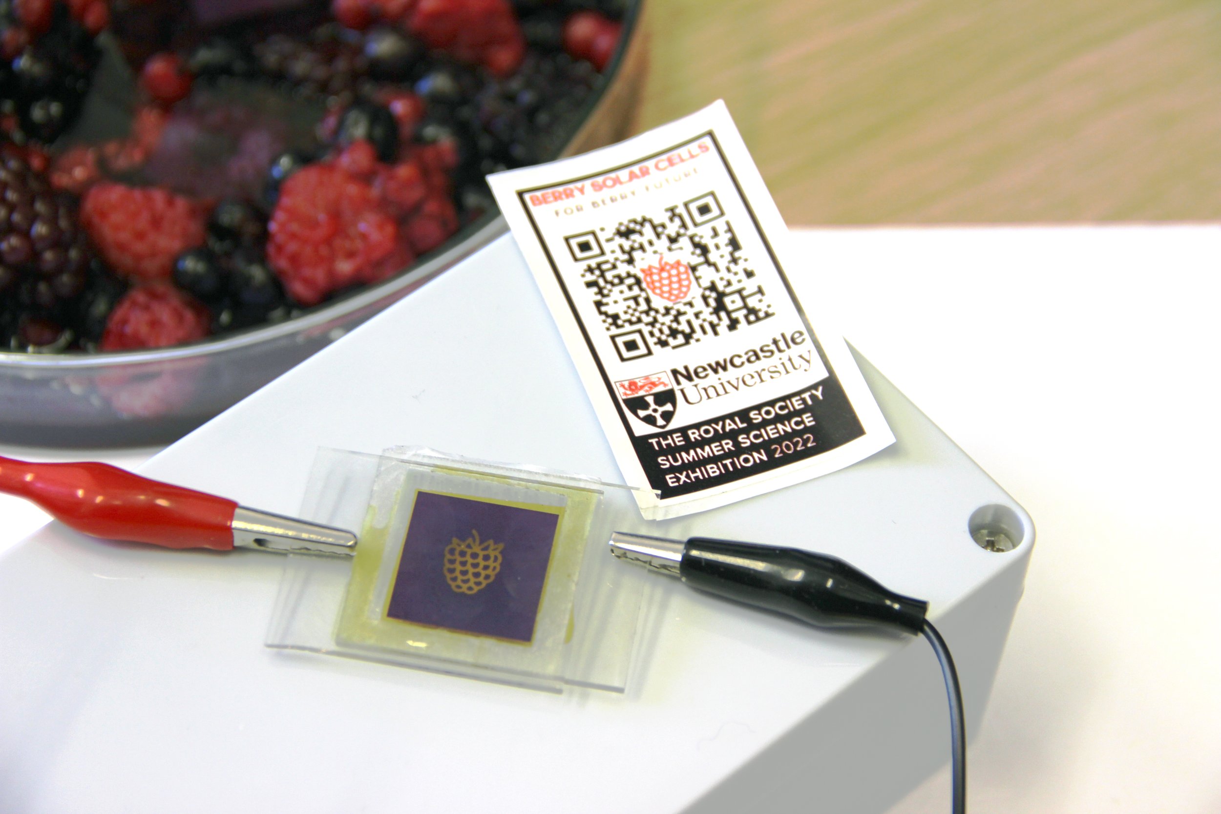 I made a Berry Cell — Berry Cells