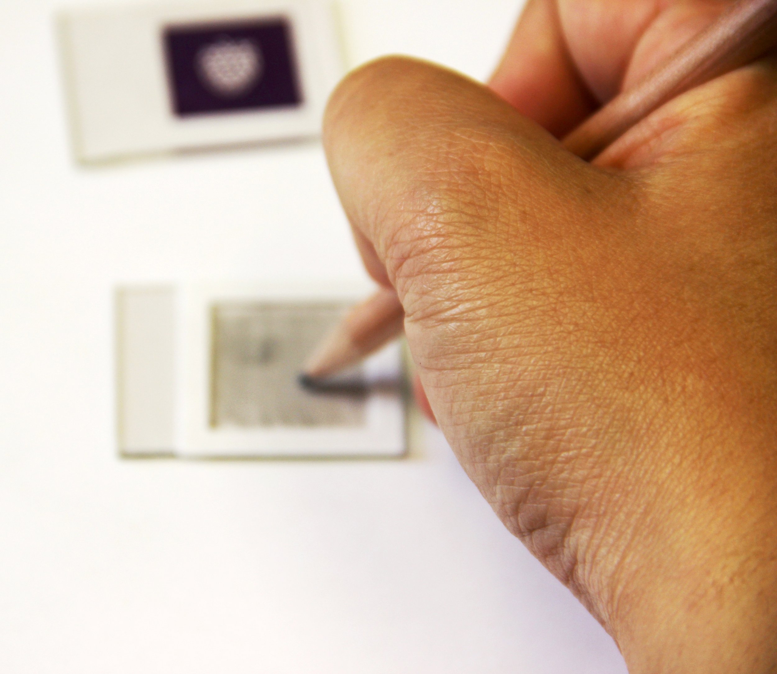 I made a Berry Cell — Berry Cells